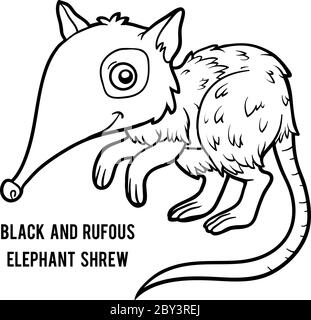 Elephant Shrew Animal Isolated Coloring Page Stock Vector Image & Art - Alamy