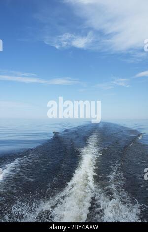 Boat white wake, prop wash foam on blue sea background texture. Ripple ...