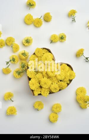 A vertical shot of white and yellow chrysanths Stock Photo - Alamy