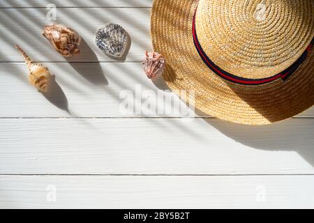Palm leaves shadow on the white wall. Abstract blurred background ...