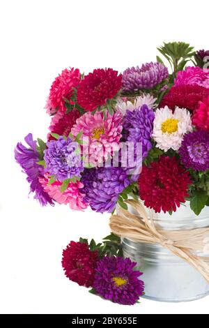 mix of aster flowers Stock Photo - Alamy