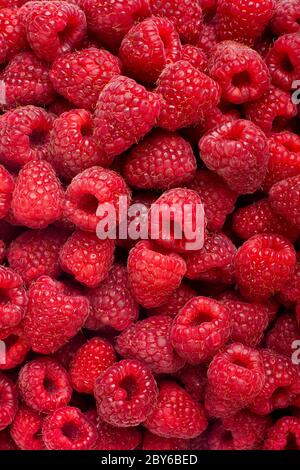 Ripe rasberry fruit horizontal close up background Stock Photo - Alamy