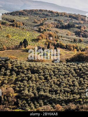 Mount Subasio in Umbria, Italy, with blue sky and white clouds Stock ...