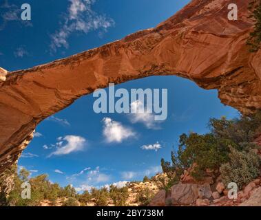 Owachomo Bridge at Natural Bridges Nat. Monument, Utah, USA Stock Photo ...