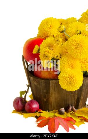 Bunch of Mums with autumn leaves Stock Photo - Alamy