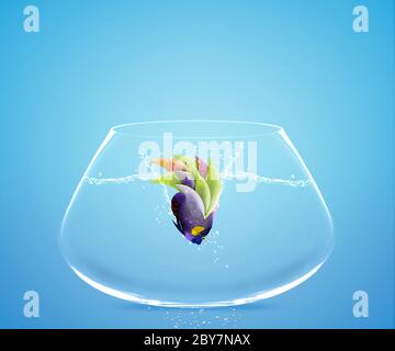 Angelfish jumping to other bowl Stock Photo - Alamy