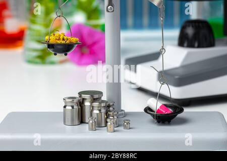Laboratory scales with dry plants. Scientific research of plants ...