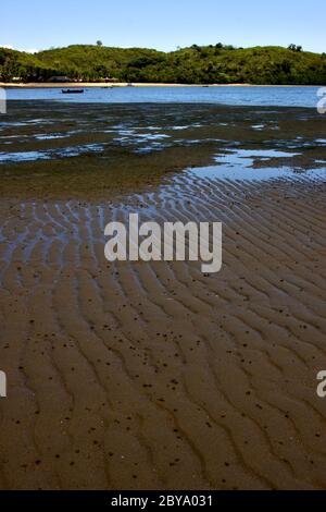 nail tree boat sand lagoon tropical and coastline in madagascar nosy be ...