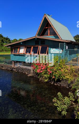 Ponds Restaurant, Hilo City, Hawaii, USA Stock Photo - Alamy