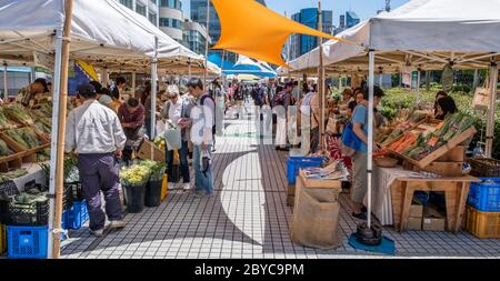 People at a farmer's market, Aoyama, Tokyo, Japan Stock Photo - Alamy