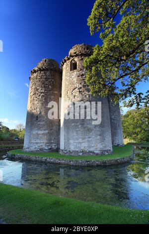 Historic stone ruins and moat of Nunney Castle, Somerset, England, UK ...