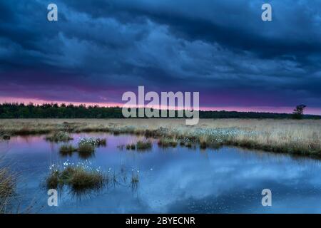 Sunset during storm over swamp, Fochteloerveen, Netherlands Stock Photo ...