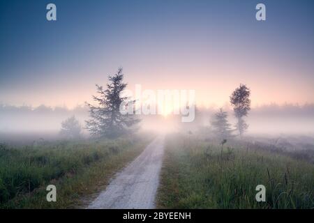 ground road into fog at summer sunrise Stock Photo - Alamy