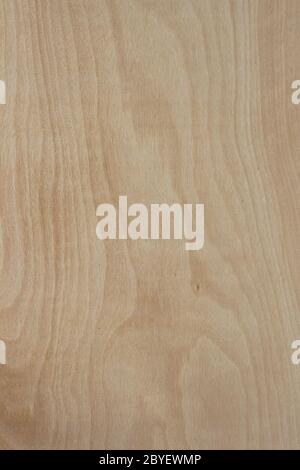 Pattern of Lighr Brown Wood Surface Texture Stock Photo - Alamy