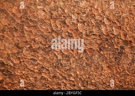 Tree trunk skin Stock Photo - Alamy