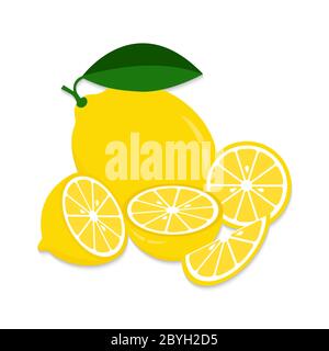 Lemon slices. Fresh citrus, half sliced lemons and chopped lemon isolated cartoon vector ...