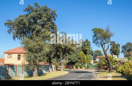 Alberton, South Africa - a street in the residential suburb of ...