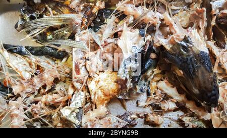 saba fish bone Stock Photo - Alamy