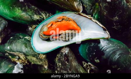 big mussels seafood menu Stock Photo - Alamy