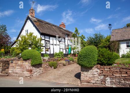 Thatched country cottage in the Cheshire rural village of Alvanley ...