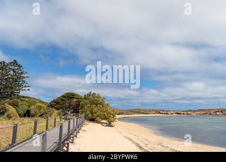 Beach on Penguin Island, Rockingham, Western Australia, Australia Stock ...