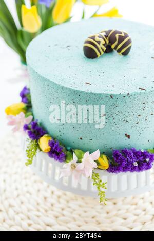 Easter Robins egg cake with chocolate speckles and egg truffles Stock ...