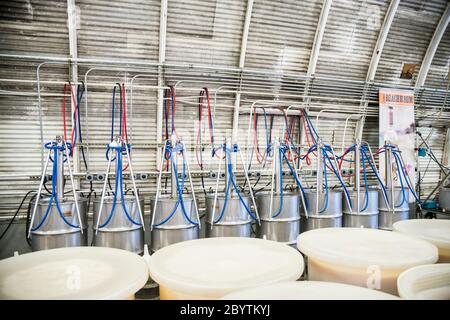 Hali'imaile Distilling is located on the slopes of Haleakalā. It sits ...