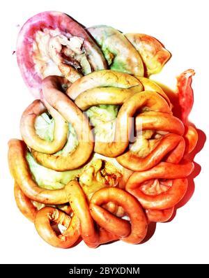 food pig intestine Stock Photo - Alamy