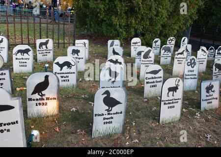 headstones tombstones animal grave graveyard pet cemetry mount usher ...