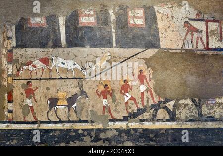 Tomb of Iti and Neferu, Ritual slaughter scene Scene, Thebes, Tempera ...