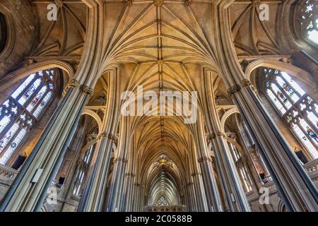 Vaulting of the choir, Bristol Cathedral, Bristol, England, UK Stock ...
