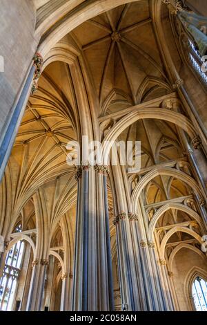 Vaulting of the choir, Bristol Cathedral, Bristol, England, UK Stock ...