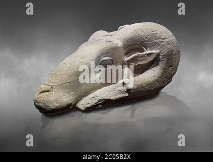 Ancient Egyptian sculpture of the head of a criosphinx, sandstone, New ...