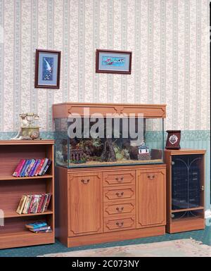 1990's domestic Fish Tanks, in Studio set, UK Stock Photo - Alamy