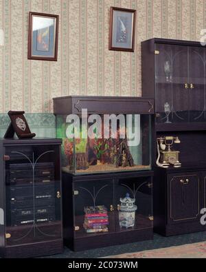 1990's domestic Fish Tanks, in Studio set, UK Stock Photo - Alamy