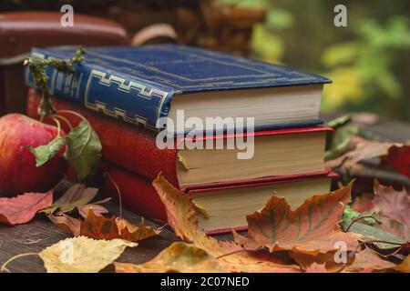 Old books and colorful autumnal fallen leaves Stock Photo - Alamy