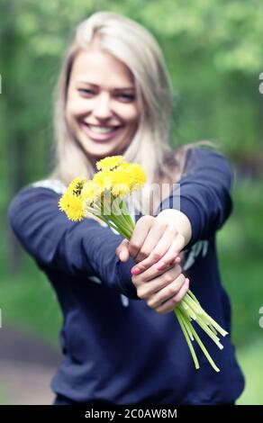 Close up blooming yellow dandelions on sunny day. Summer flower ...