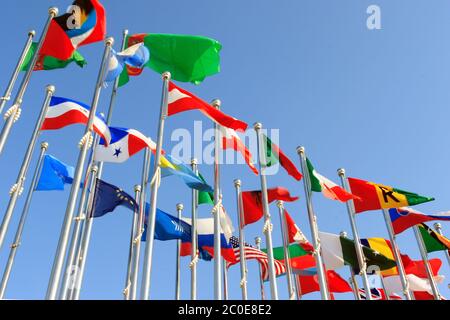 Flags of different countries waving at the United Nations headquarters ...