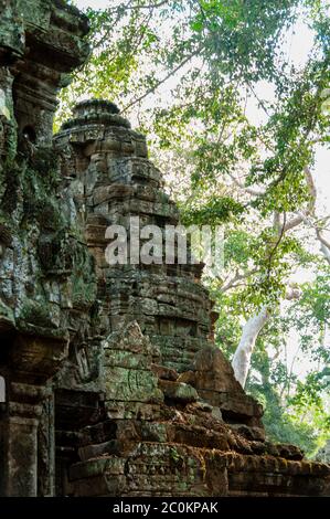 Back wall of Angkor wat temple, Cambodia Stock Photo - Alamy