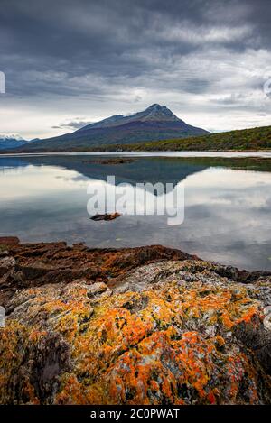 Hiking trail at magical austral Magellanic subpolar forests in Tierra ...