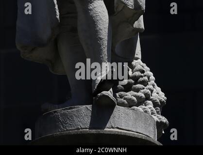 Police barricades surround the area around a bronze statue of former ...