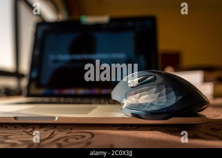 Logitech MX Master Mouse, professional computer mouse for editing and ...