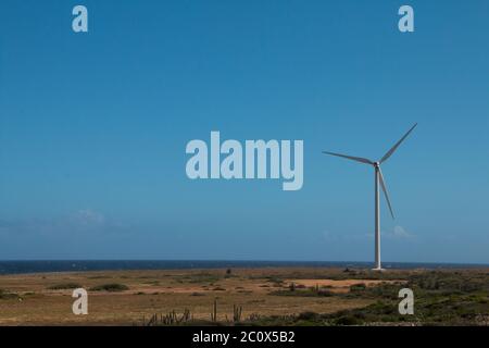 Windmill farm Aruba in Arikok National Park - sustainability effort ...