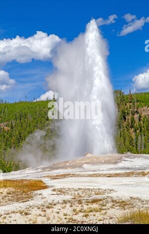 Old Faithful Geyser, Yellowstone National Park , Tichnor Brothers ...