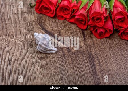 White shell and roses on wooden background Stock Photo - Alamy