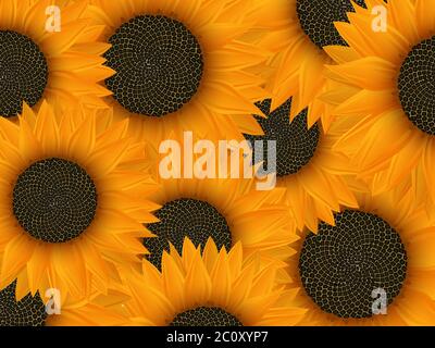 Background of summer Stock Photo - Alamy