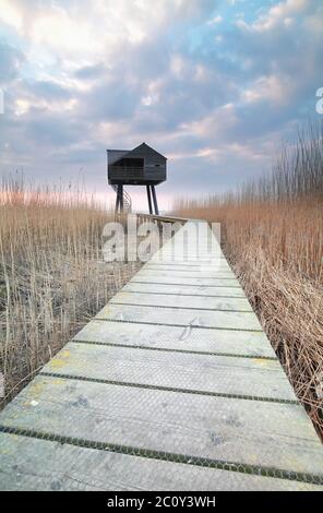 Wooden path to observation tower, Nieuwe Statenzijl, Netherlands Stock ...