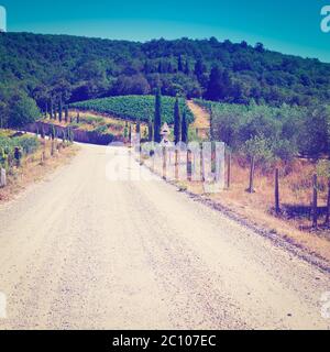winding dirt road and olive tree in the Galilee Israel Stock Photo - Alamy