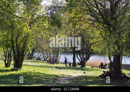 Summer at HIghams Park Lake, London, UK Stock Photo - Alamy
