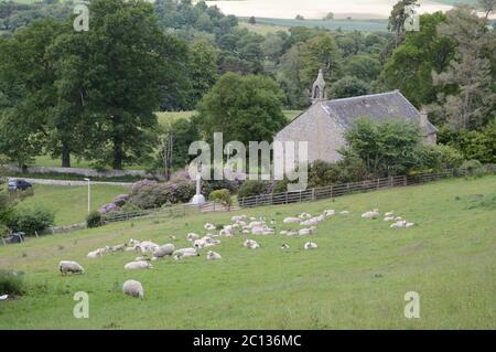 Rural scene near Kemback Church, Fife, Scotland Stock Photo - Alamy